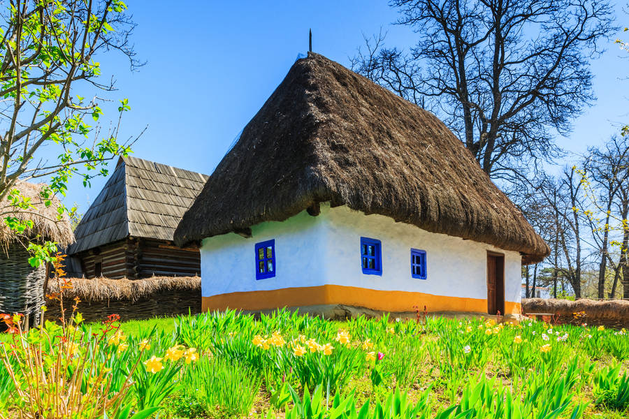 The Edge Listen Live - 94.2 MHz FM, Auckland, New Zealand | Online ...