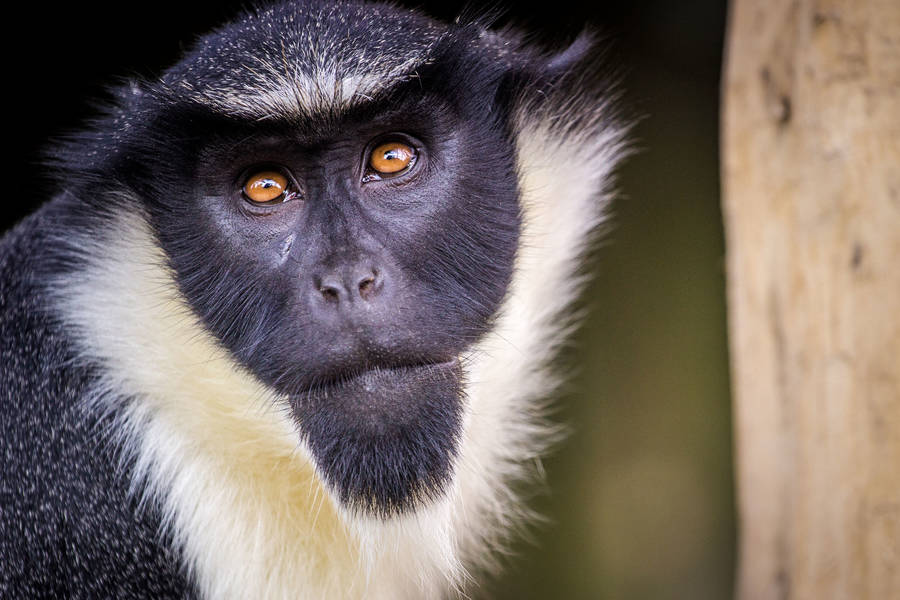 Katueté FM en Vivo - 88.3 MHz FM, Primavera, Paraguay | Online Radio Box