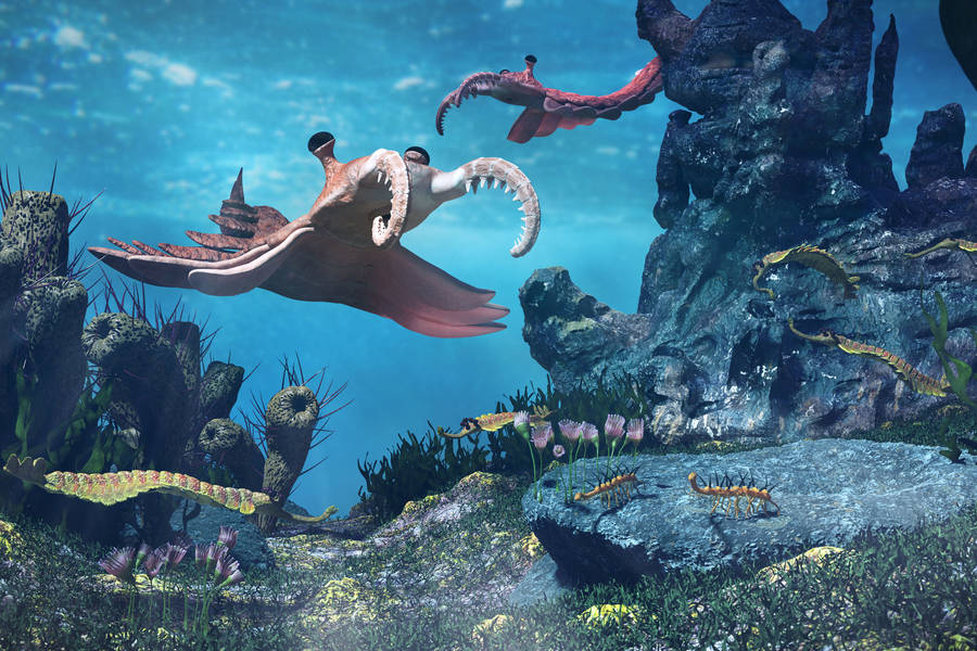 WPAT 930 AM Listen Live - Paterson, United States | Online Radio Box