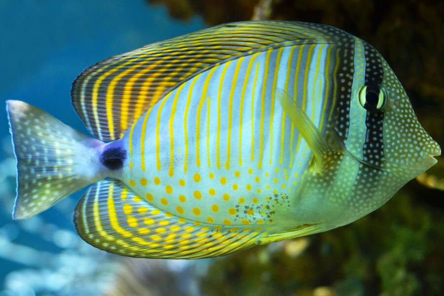 KFYR 550 AM Listen Live - Bismarck, United States | Online Radio Box