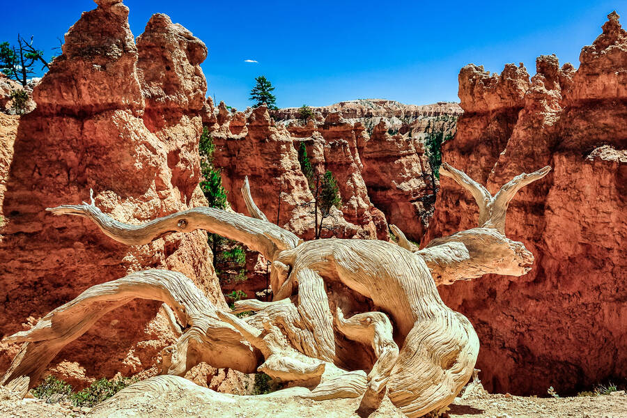 BIG 95 KBGO Listen Live - 95.7 MHz FM, Waco, United States | Online ...