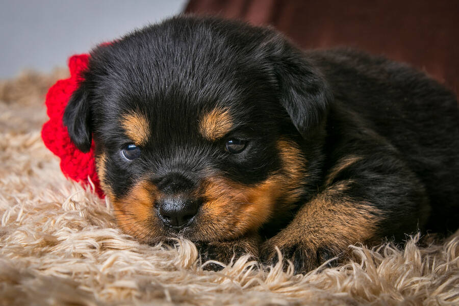 WCBM Listen Live - 680 kHz AM, Baltimore, United States | Online Radio Box