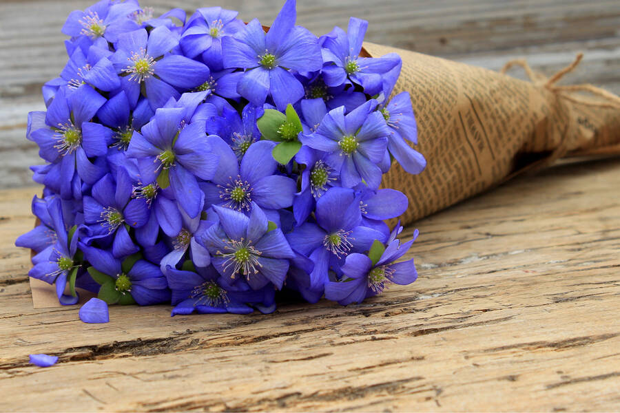 WNWI 1080 AM Listen Live - Oak Lawn, United States | Online Radio Box