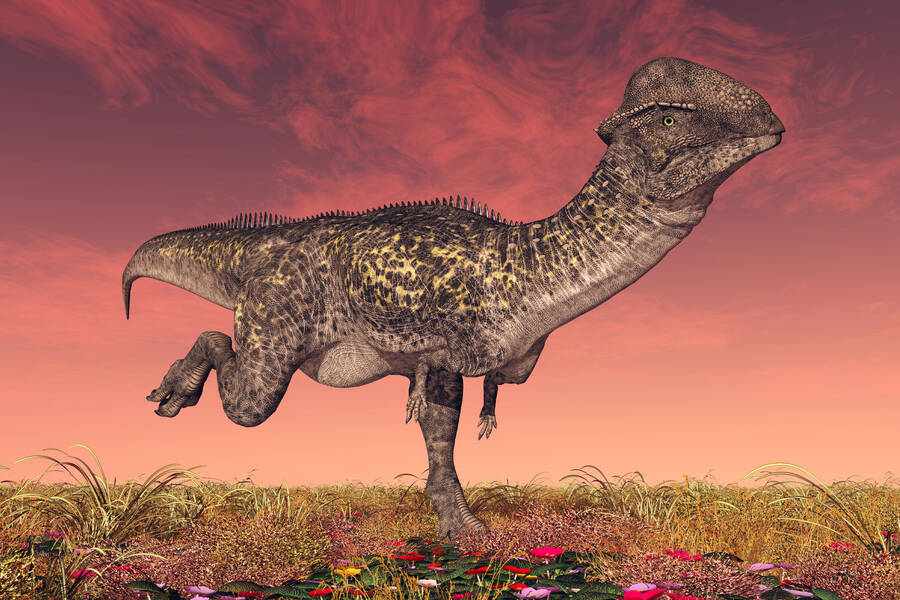 Country 94.1 KFKF Listen Live - Kansas City, United States | Online ...