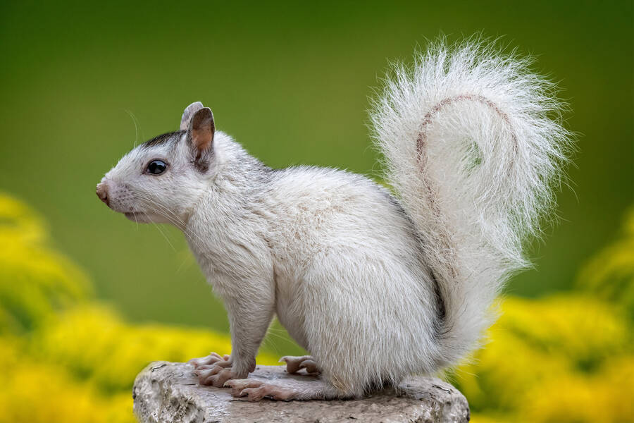 WNWI 1080 AM Listen Live - Oak Lawn, United States | Online Radio Box