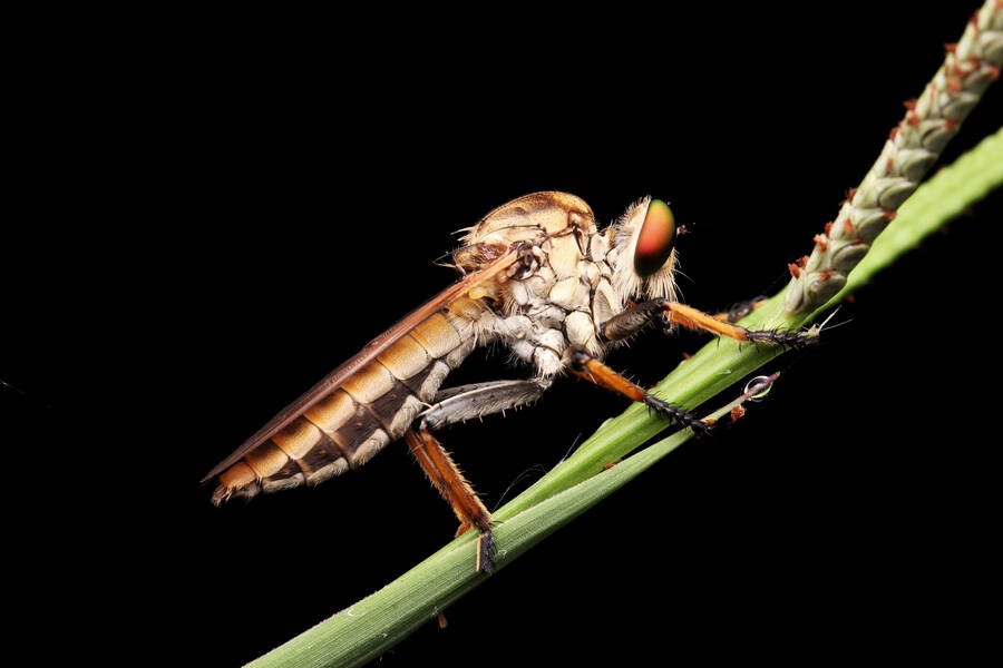 KTNN Listen Live - 660 kHz AM, Window Rock, United States | Online ...