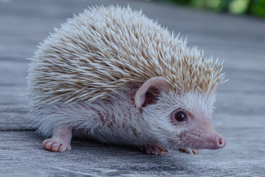 KJUL 104.7 FM Listen Live - Moapa Valley, United States | Online Radio Box