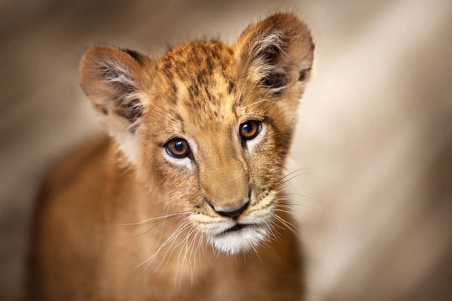 FLAVA FM Listen Live - 87.7 MHz FM, Kitwe, Zambia | Online Radio Box