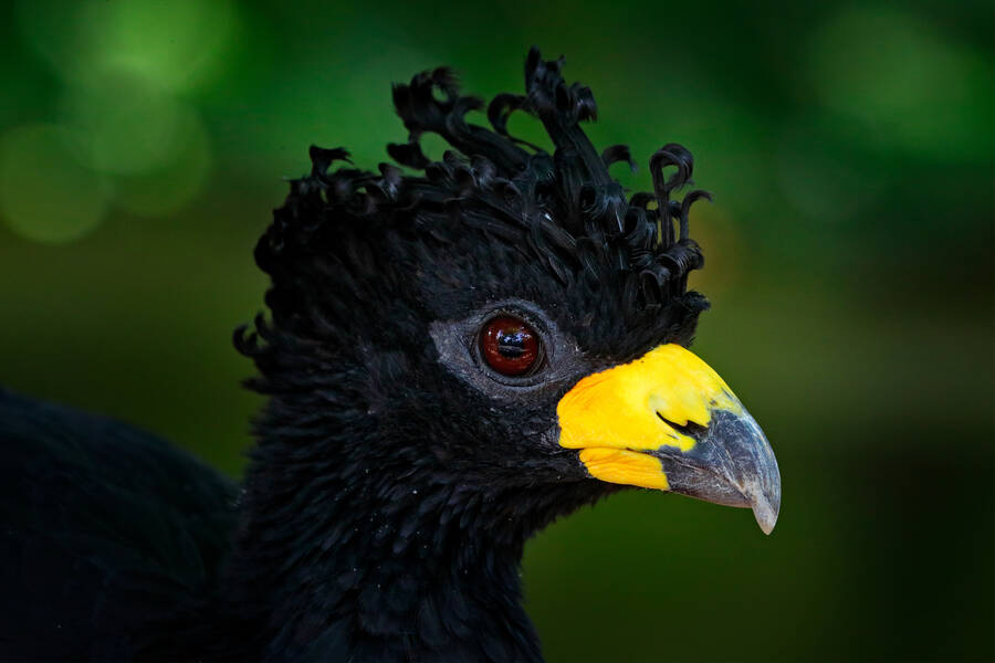 98.7 WFGR Listen Live - Grand Rapids, United States | Online Radio Box