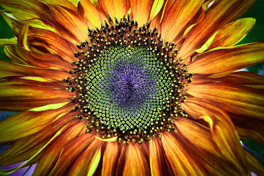 Online Radio Box - listen to the radio online for free