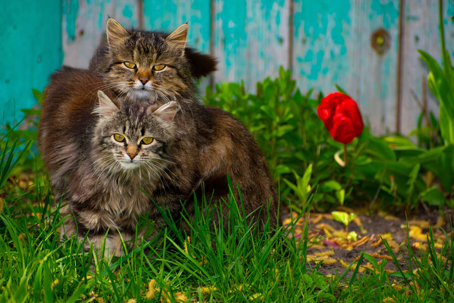 The Sky 97.3 FM Listen Live - Micanopy, United States | Online Radio Box