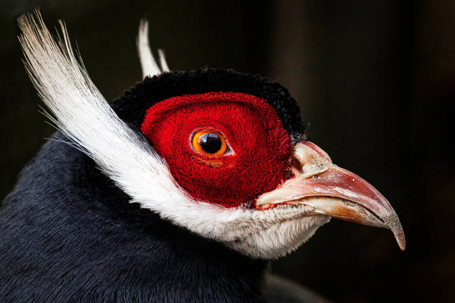 WKSR Listen Live - 1420 kHz AM, Lawrenceburg, United States | Online ...