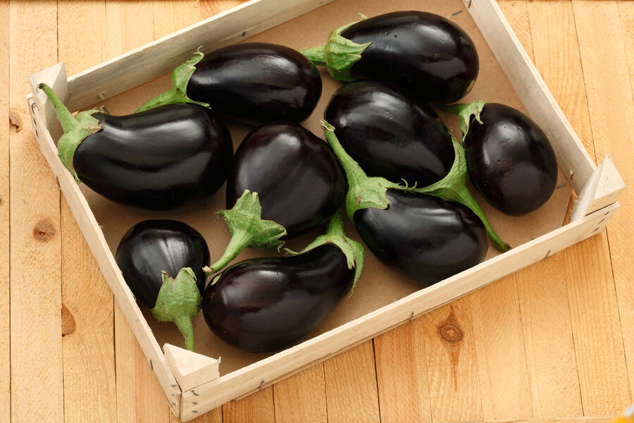 WAAV Listen Live - 980 kHz AM, Leland, United States | Online Radio Box