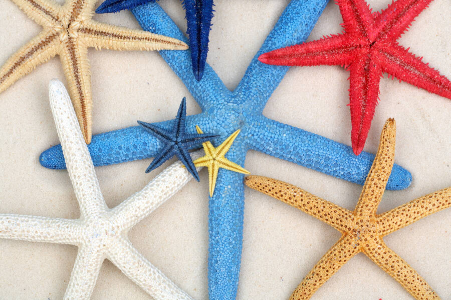 MOR live streaming - 101.9 MHz FM, Manila, Philippines | Online Radio Box