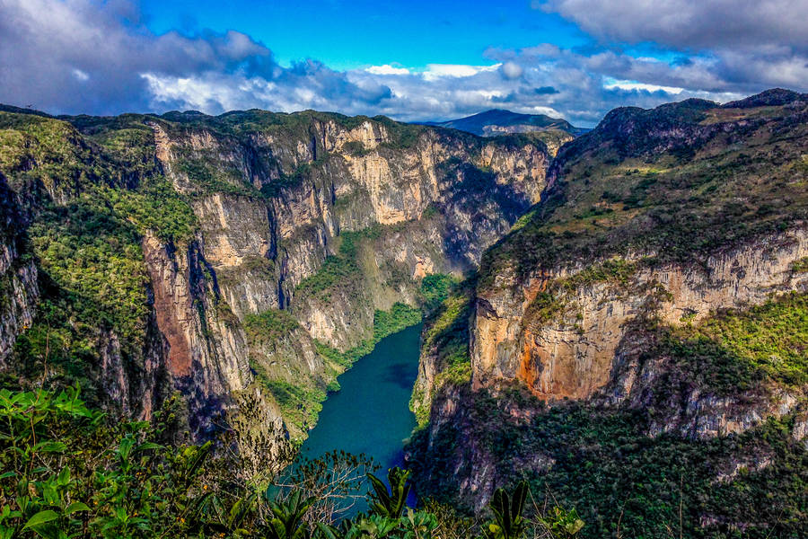 Dash Radio - Dash 1 Listen Live - Los Angeles, United States | Online ...