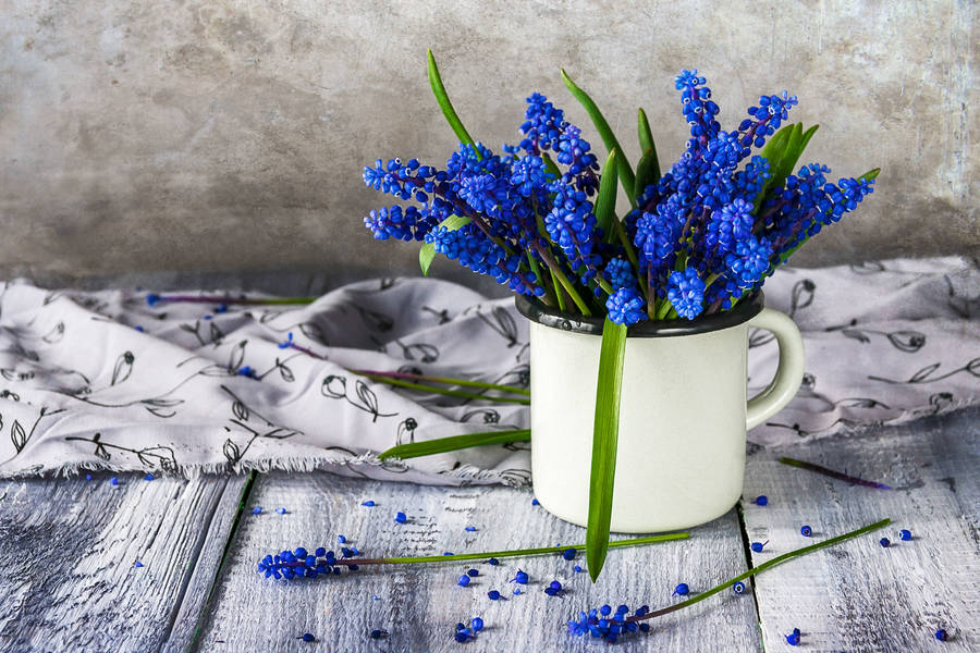 News Radio 1170 WWVA Listen Live - Wheeling, United States | Online ...