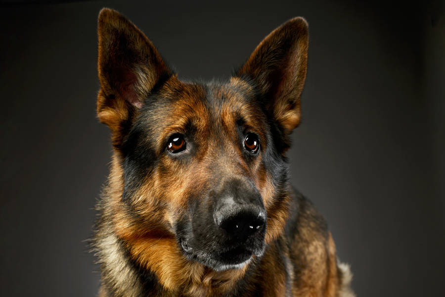 PJD2 Radio Listen Live - 102.7 MHz FM, Philipsburg, Sint Maarten ...