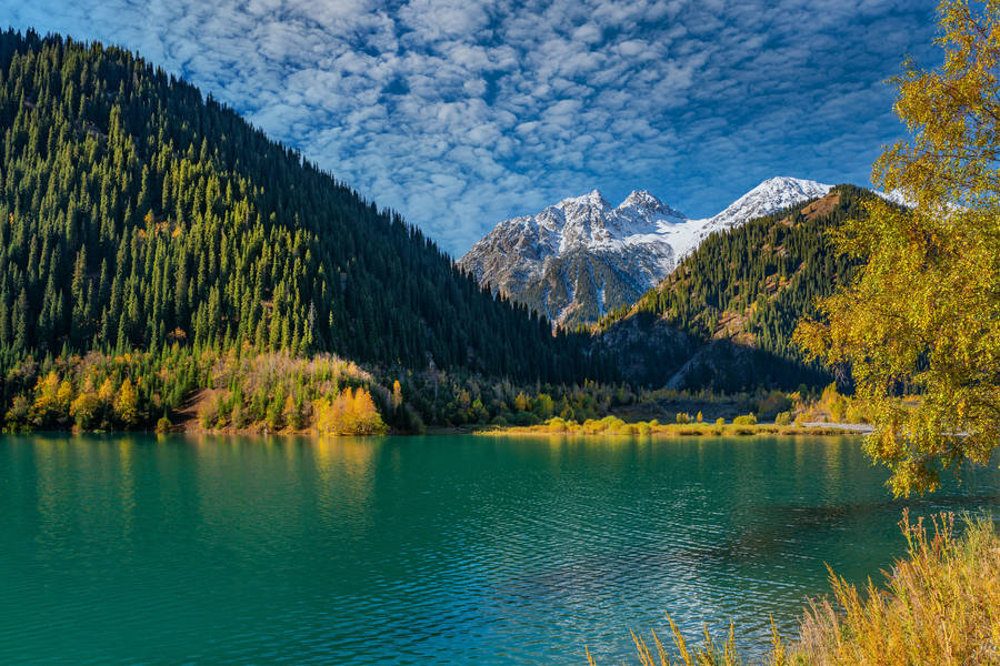 ABC Perth Listen Live - 720 kHz AM, Perth, Australia | Online Radio Box