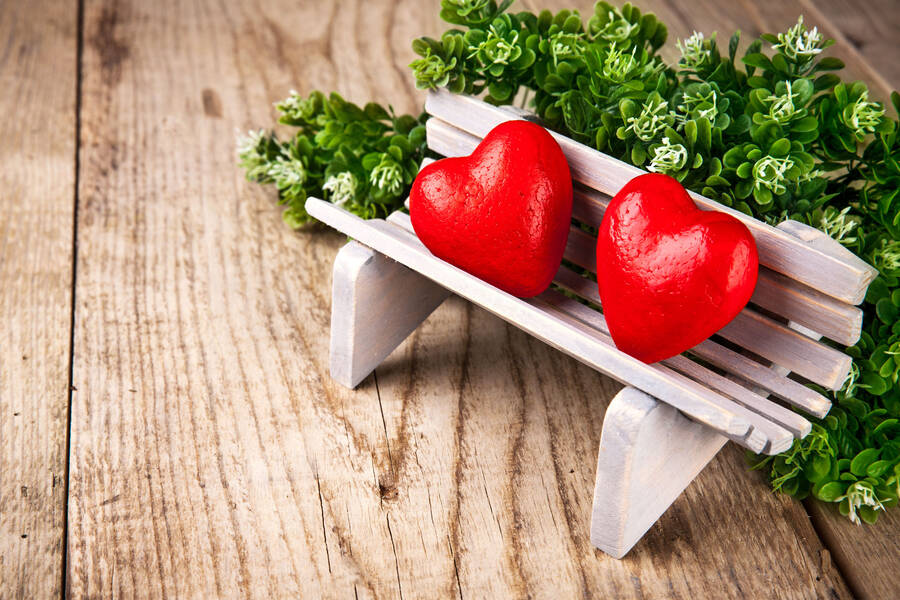 TDI Radio uživo - 91.8 MHz FM, Beograd, Srbija | Online Radio Box