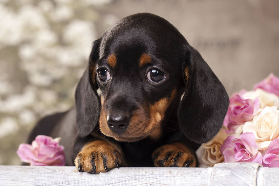 BBC Humberside live - 95.9 MHz FM, Kingston upon Thames, United Kingdom ...