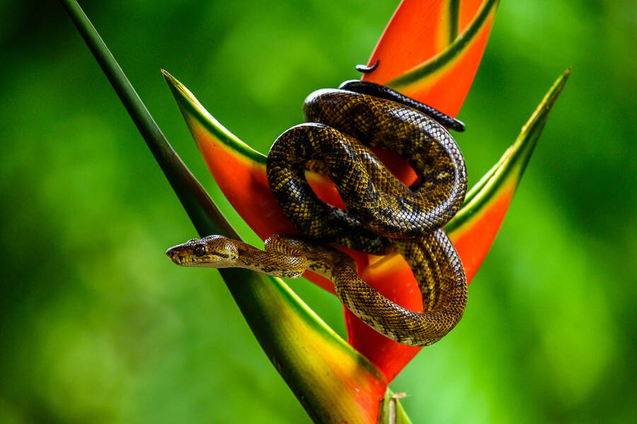 WRKO AM 680 Listen Live - Boston, United States | Online Radio Box