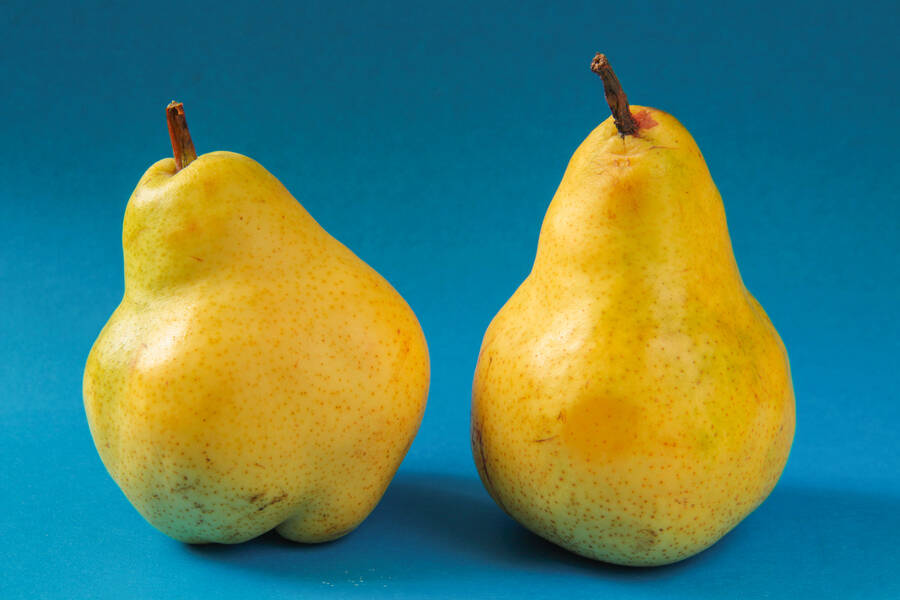 Cosmopolitan FM streaming - 90.4 MHz FM, Jakarta, Indonesia | Online ...