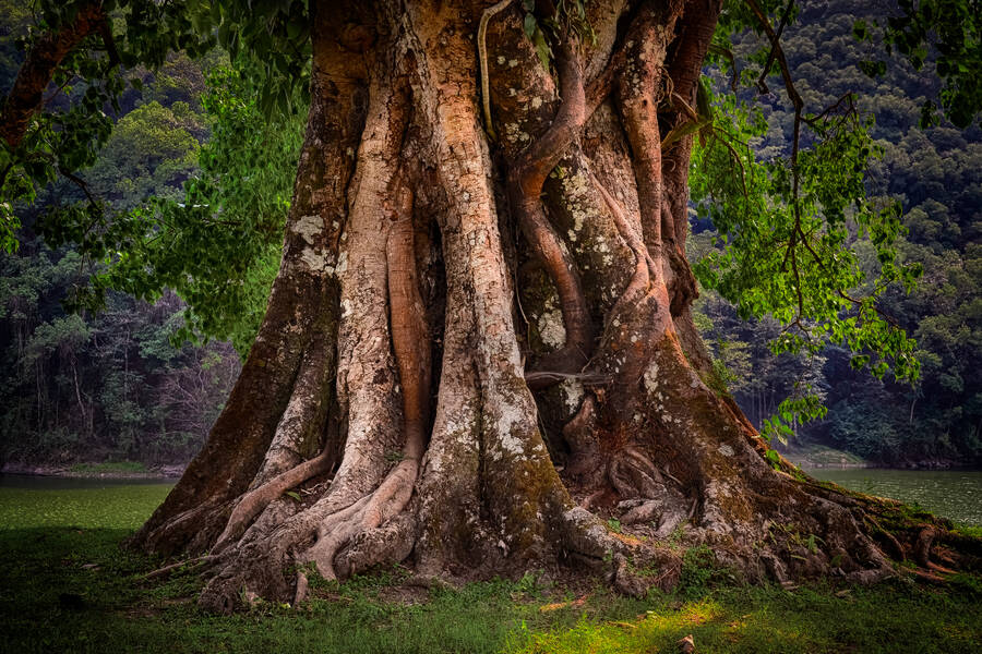 WDER Radio Listen Live - 92.1 FM, 1320 kHz AM, Derry, United States ...