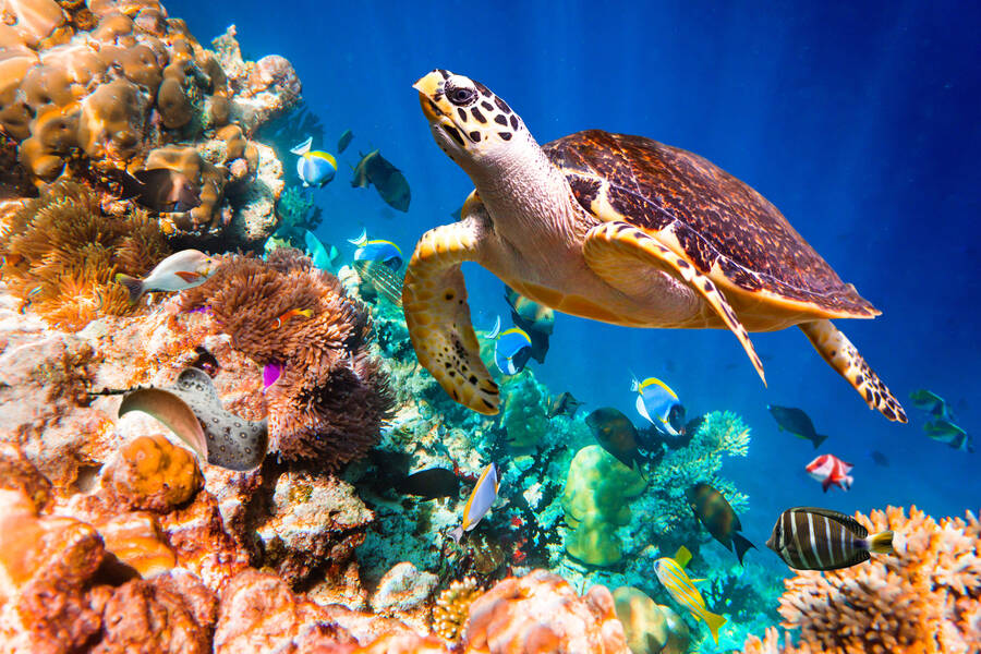 WRDB Radio Listen Live - 1400 kHz AM, Reedsburg, United States | Online ...