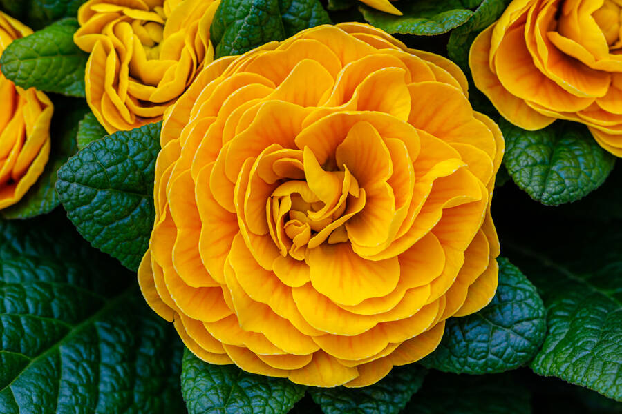 3GG Listen Live - 531.0 MHz FM, Warragul, Australia | Online Radio Box