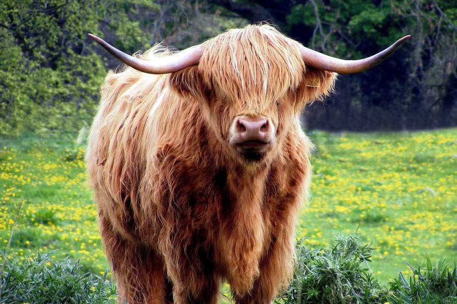 98.7 WFGR Listen Live - Grand Rapids, United States | Online Radio Box