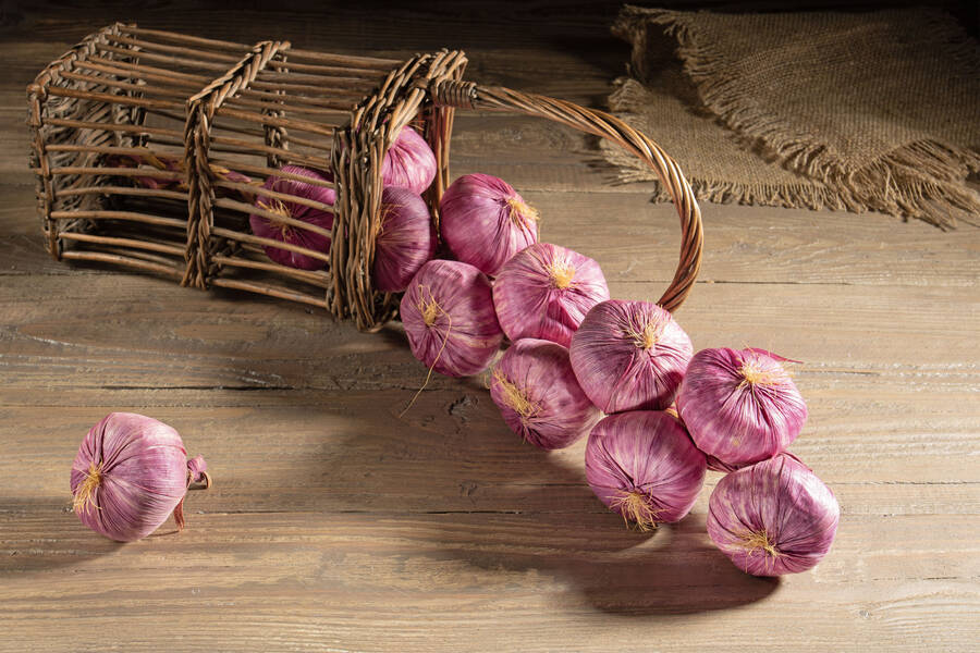 SWR 99.9 FM Listen Live - Blacktown, Australia | Online Radio Box