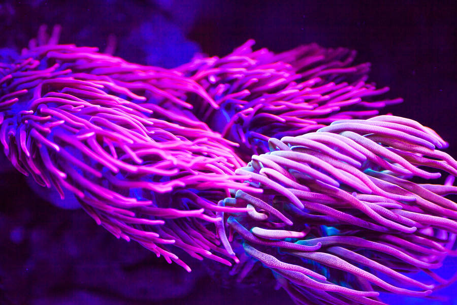 Newsradio 610 WIOD Listen Live - Miami, United States | Online Radio Box