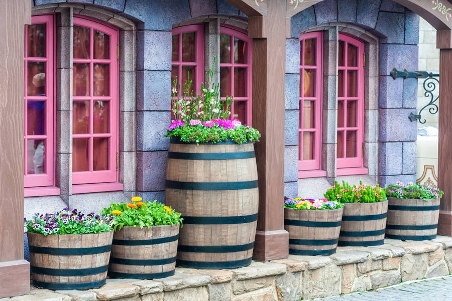 WTLO AM 1480 Listen Live - Somerset, United States | Online Radio Box