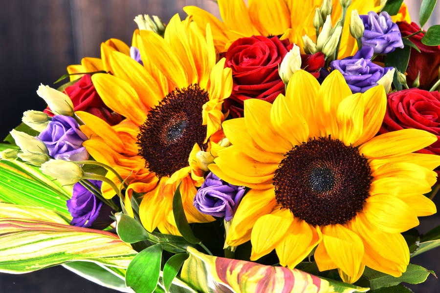 Prambors FM streaming - 102.2 MHz FM, Jakarta, Indonesia | Online Radio Box