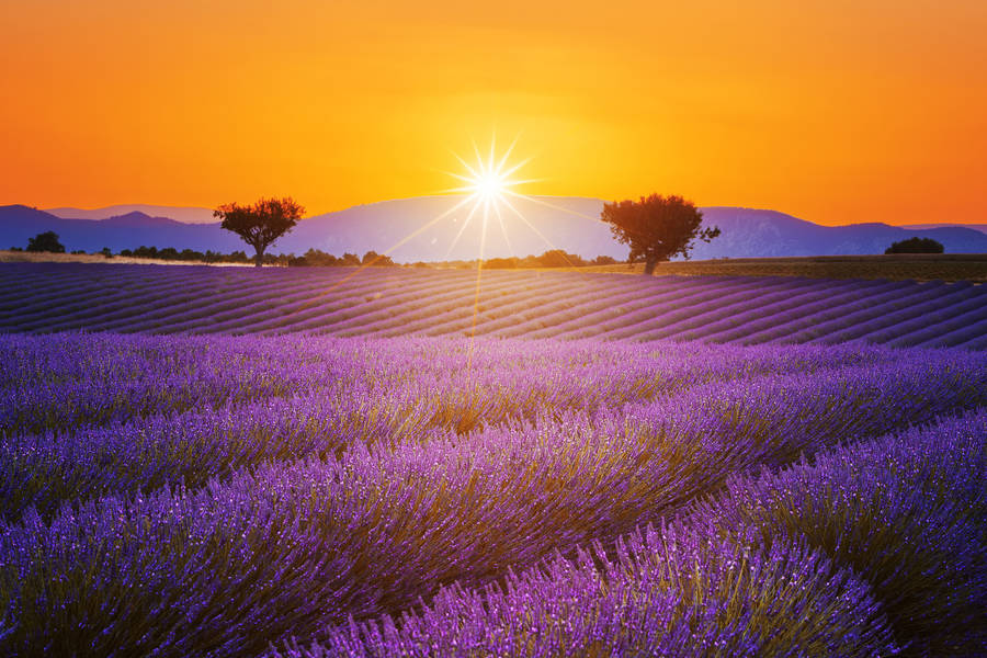 KVNU Listen Live - 610 kHz AM, Logan, United States | Online Radio Box