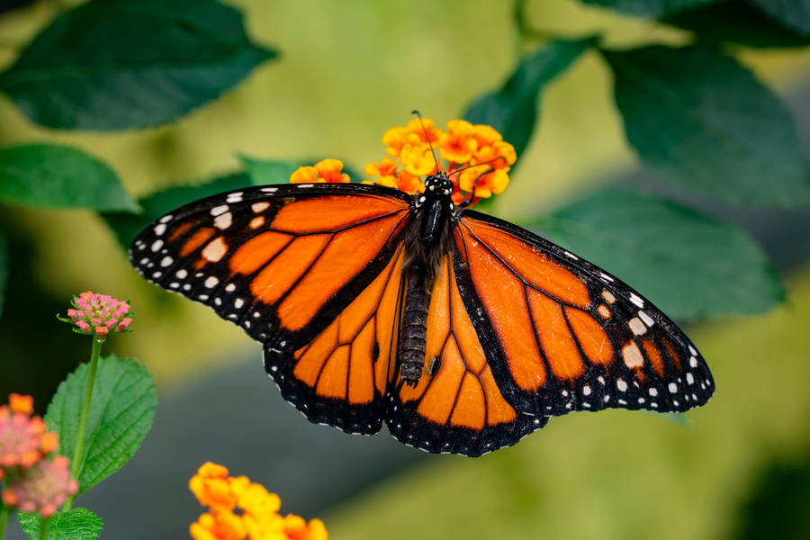 WQER Listen Live - 96.7 MHz FM, Rockville, United States | Online Radio Box