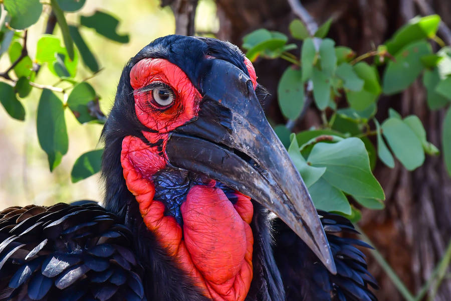 Newsradio 610 WIOD Listen Live - Miami, United States | Online Radio Box