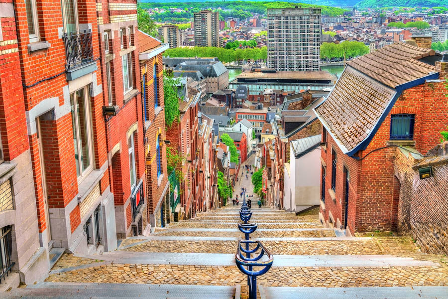 CJSE Listen Live - 89.5 MHz FM, Shediac, Canada | Online Radio Box