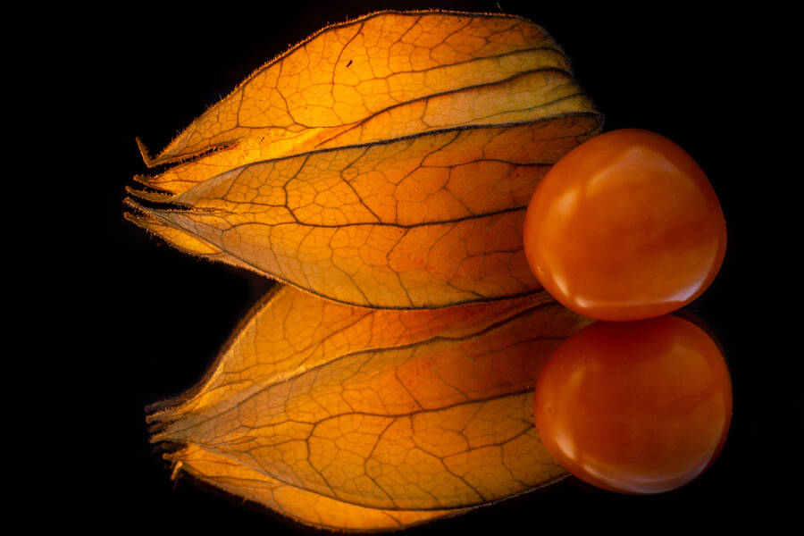 Mega 96.3 Listen Live - KXOL, Los Angeles, United States | Online Radio Box