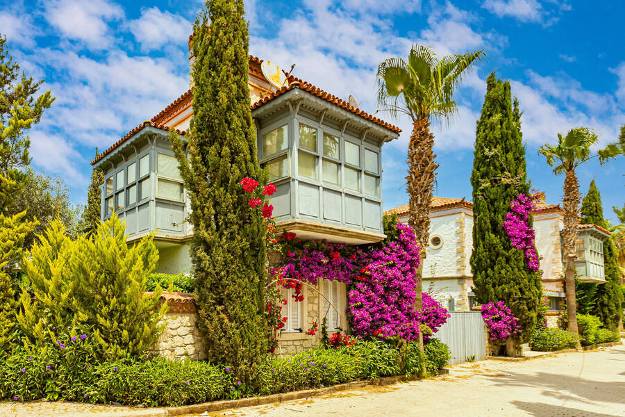 Current time in Turkey, Local Time Zone, DST information | Dayspedia