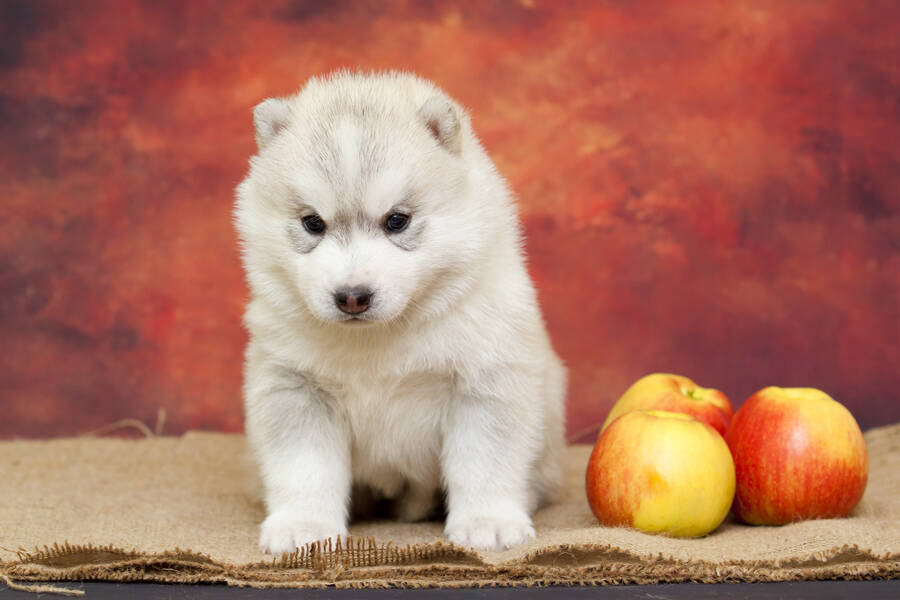 Online Radio Box - listen to the radio online for free