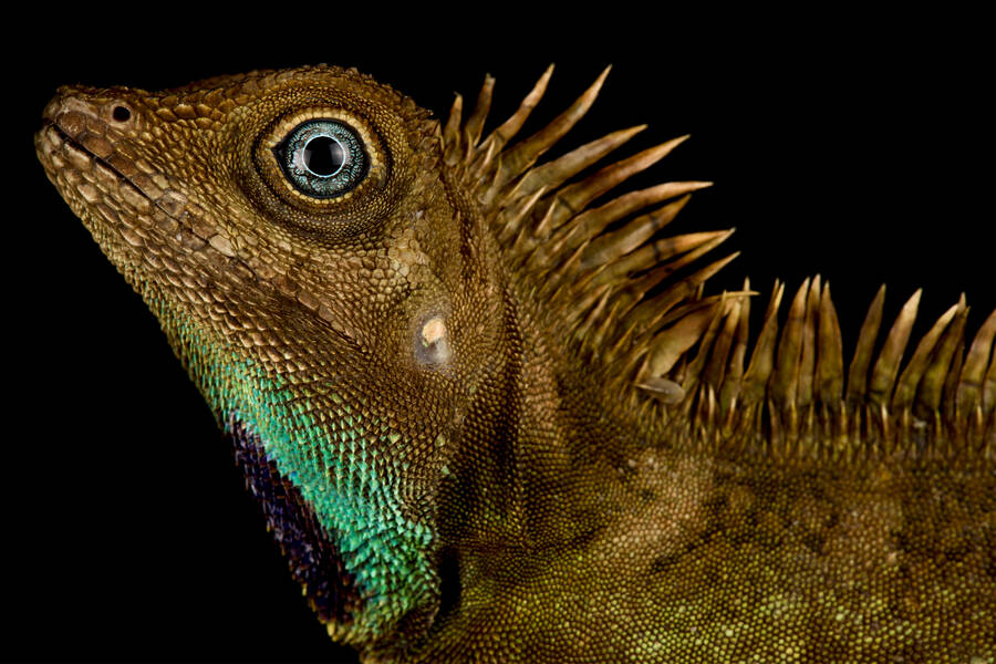 NEWSRADIO 630 WLAP Listen Live - Lexington, United States | Online ...