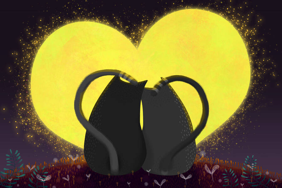 98FROG Listen Live - Daytona Beach, United States | Online Radio Box