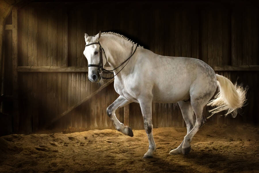 KYUK 640 AM Listen Live - Bethel, United States | Online Radio Box