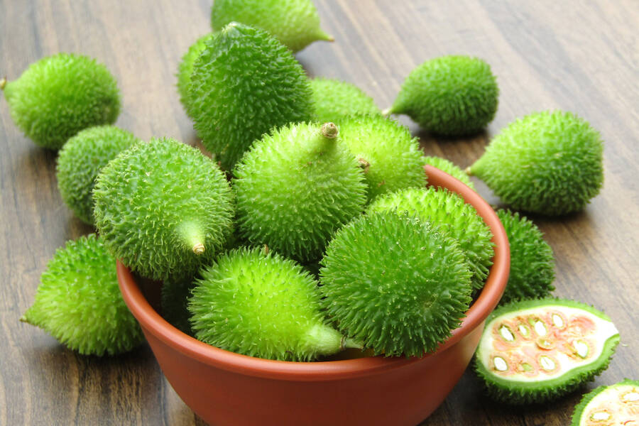 Radio Ritam Srca uživo - Beograd, Srbija | Online Radio Box