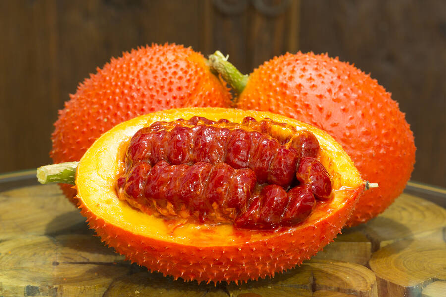 WPNN 103.7FM/790AM Listen Live - Pensacola, United States | Online ...