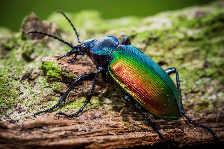 Newsradio 1140 WRVA Listen Live - Richmond, United States | Online ...