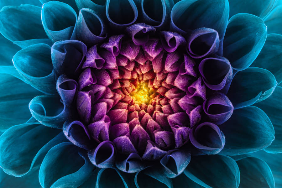 Classic FM Calm live - London, United Kingdom | Online Radio Box