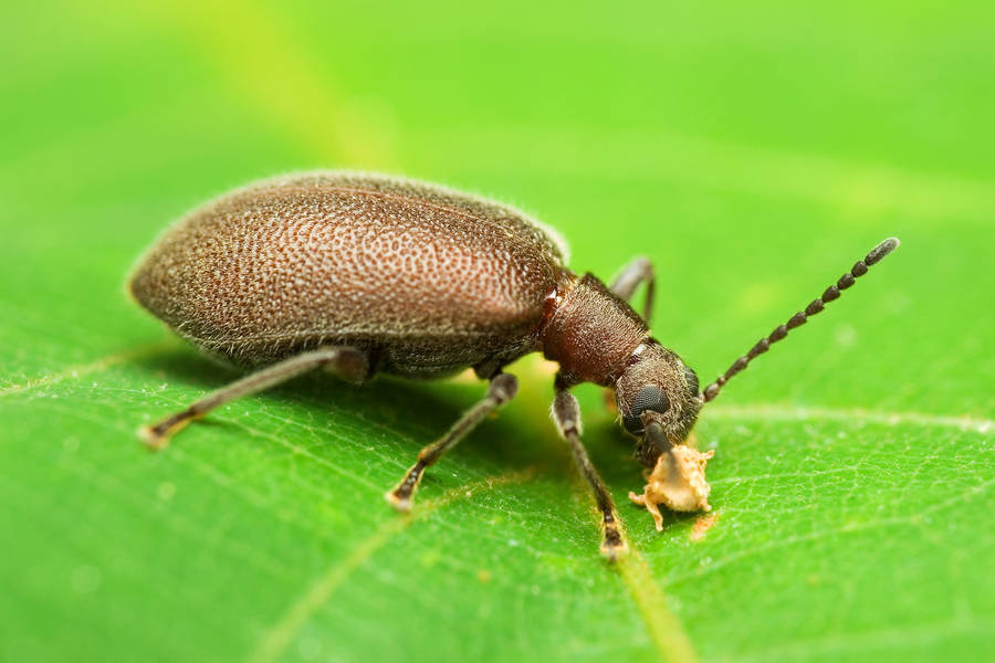 Sunny 99.1 Listen Live - Houston, United States | Online Radio Box