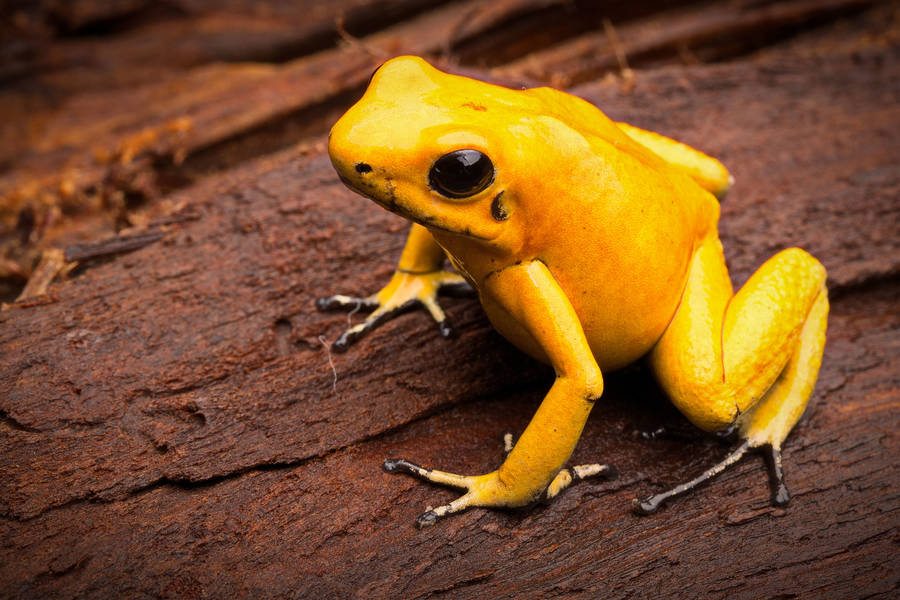 Rock 105 - 105.1 WKLC-FM Listen Live - Saint Albans, United States ...